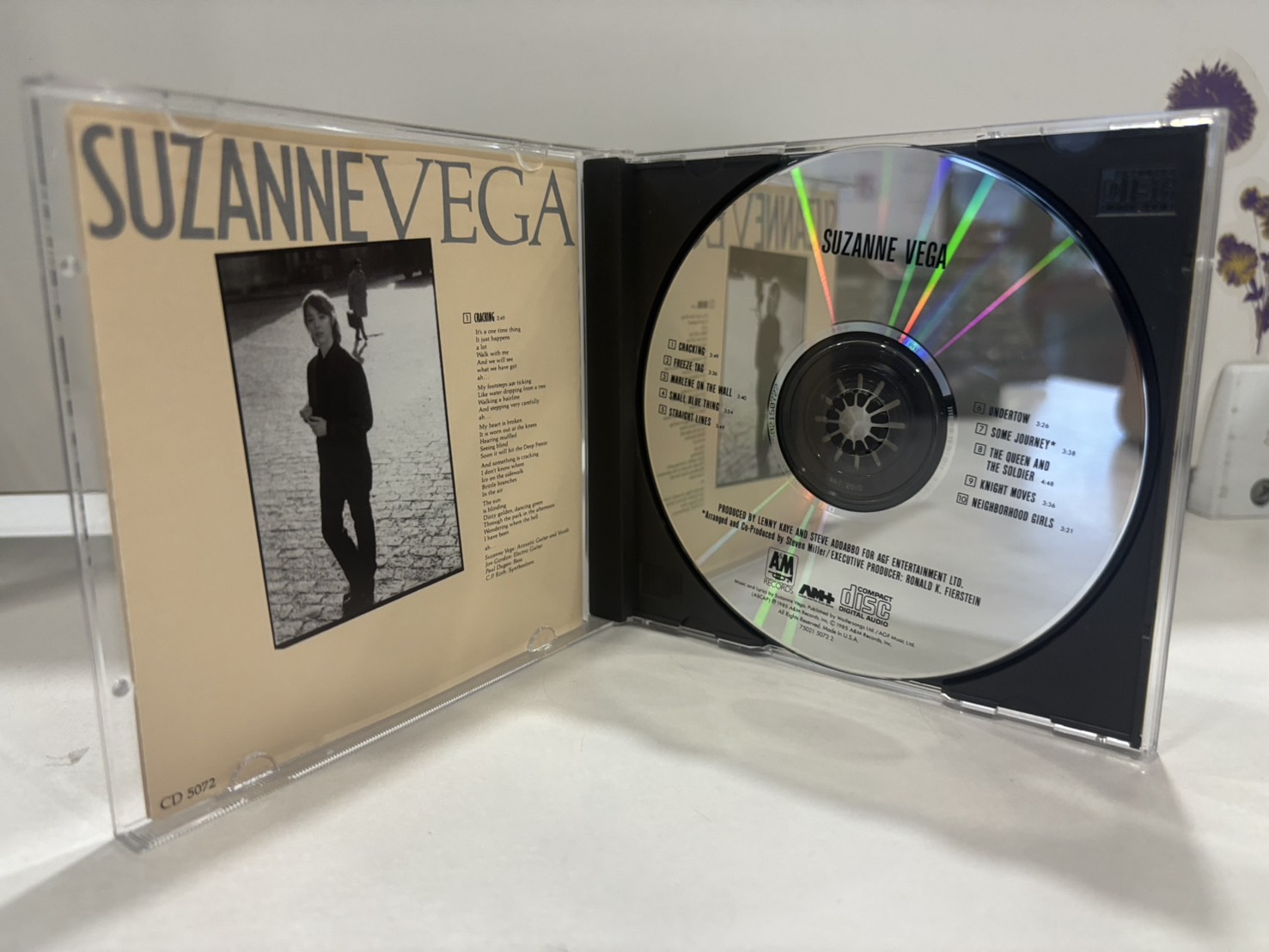 1 CD MUSIC ซีดีเพลงสากล SUZANNE VEGA (G7A10) | Shopee Thailand