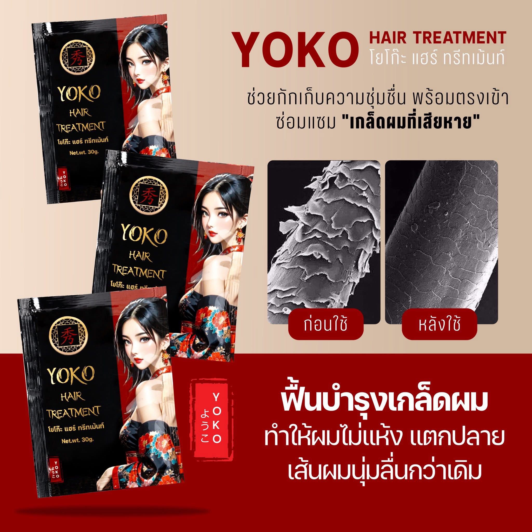 โยโก๊ะ แฮร์ ทรีทเม้นท์ YOKO HAIR TREATMENT 30g. | Shopee Thailand