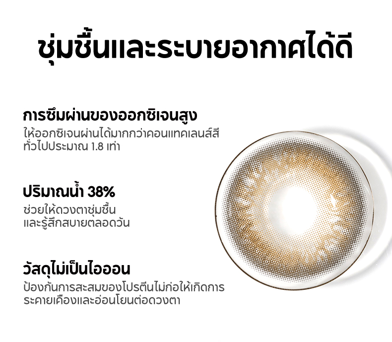 [0.00 ~ -8.00]Magister คอนแทคเลนส์ ซีรีส์ควีน 6 เดือน Amber Graphite ...