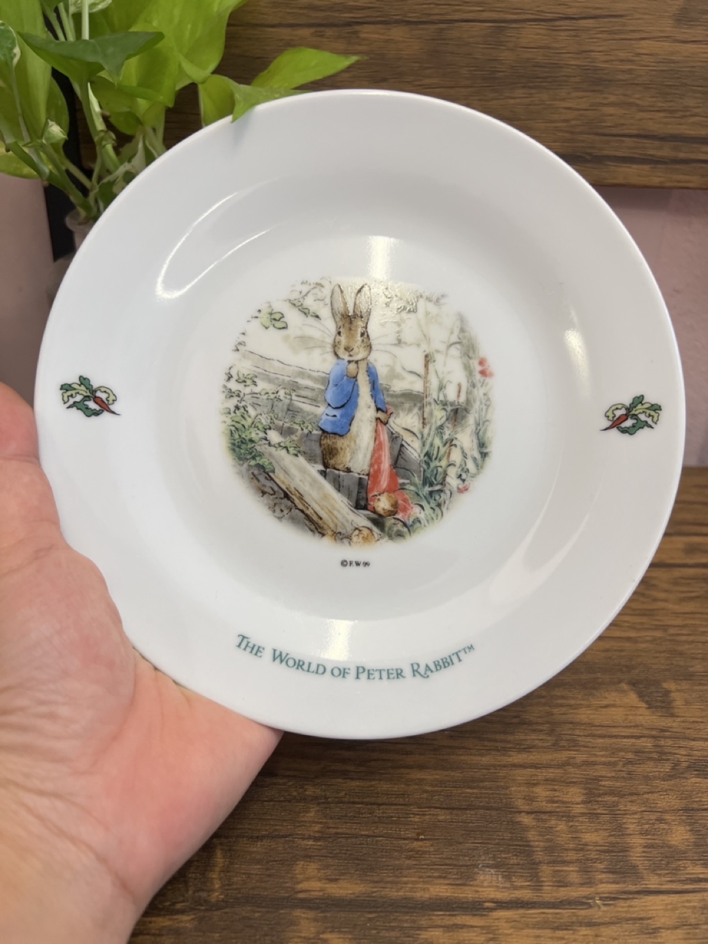 จาน Peter Rabbit x KFC ขนาด 7“ | Shopee Thailand
