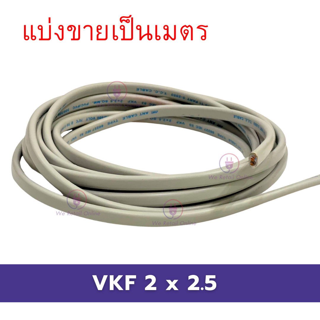 สินค้าโล๊ะสต็อค สายไฟ VKF 2x2.5 #แบบแบ่งขายเป็นเมตร# #คละยี่ห้อ# [VI/*1-VK-AN298] | Shopee Thailand
