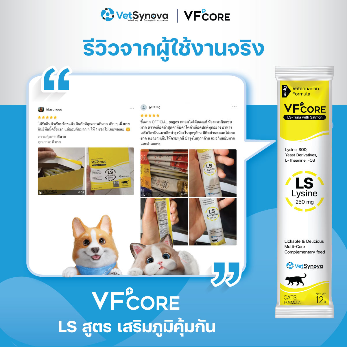 VFcore LS วิตามินแมวเลีย สูตร Lysine สำหรับน้องแมว 12 ซอง | Shopee Thailand