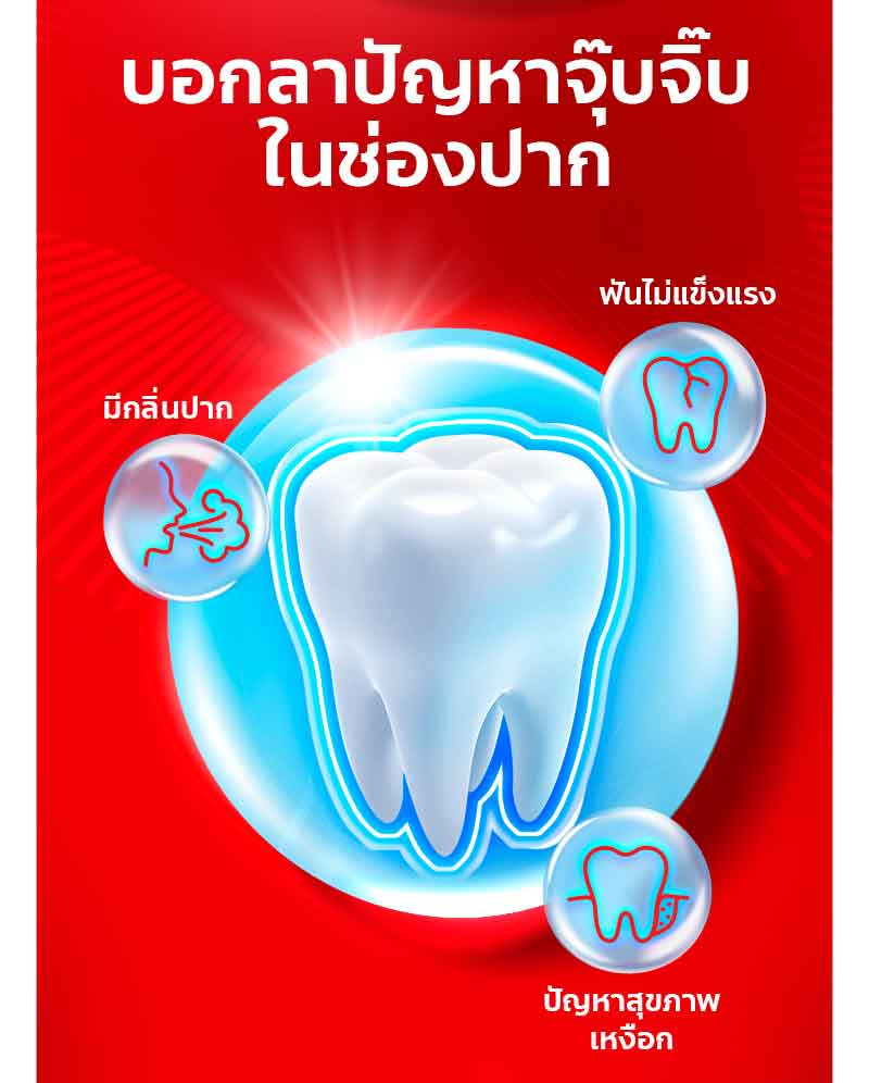 [มี 3 แพ็คให้เลือก] คอลเกต ยาสีฟัน คอลเกต เกลือใบฝรั่ง 150 กรัม Colgate ...