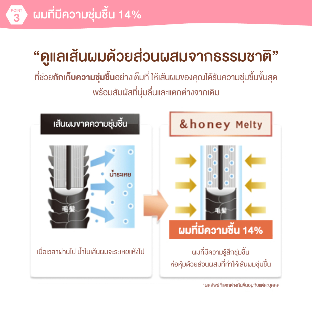 [MELTY 3 STEPS] &HONEY MELTY MOIST REPAIR SHAMPOO 440ML + TREATMENT 445G + OIL 100ML (แชมพู+ทรีท ...