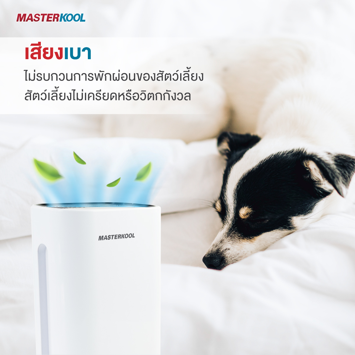 MASTERKOOL Air Purifier เครื่องฟอกอากาศPM2.5 รุ่น MTK-AP01 | Shopee Thailand