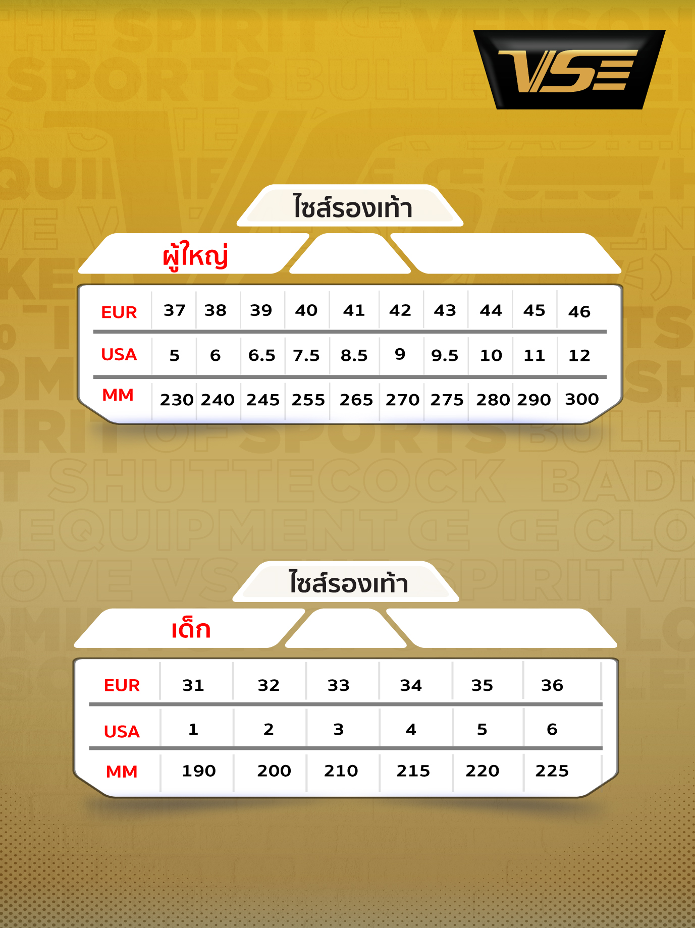 VS รองเท้ากีฬาแบดมินตัน รุ่น VS200 (KIRIN) | Shopee Thailand