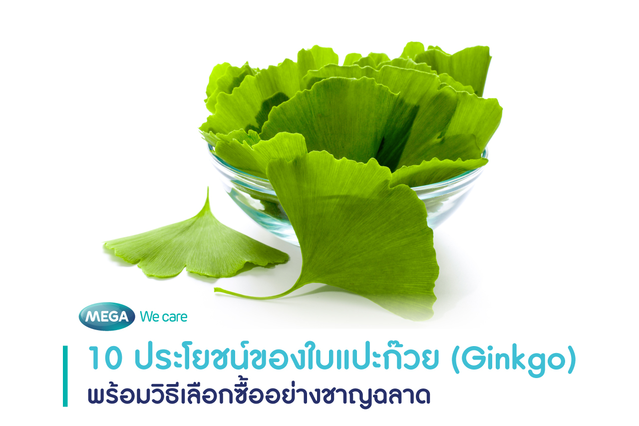 MEGA Ginkgo Biloba extract 40mg สารสกัดจากใบแปะก๊วย 60แคปซูล | Shopee ...
