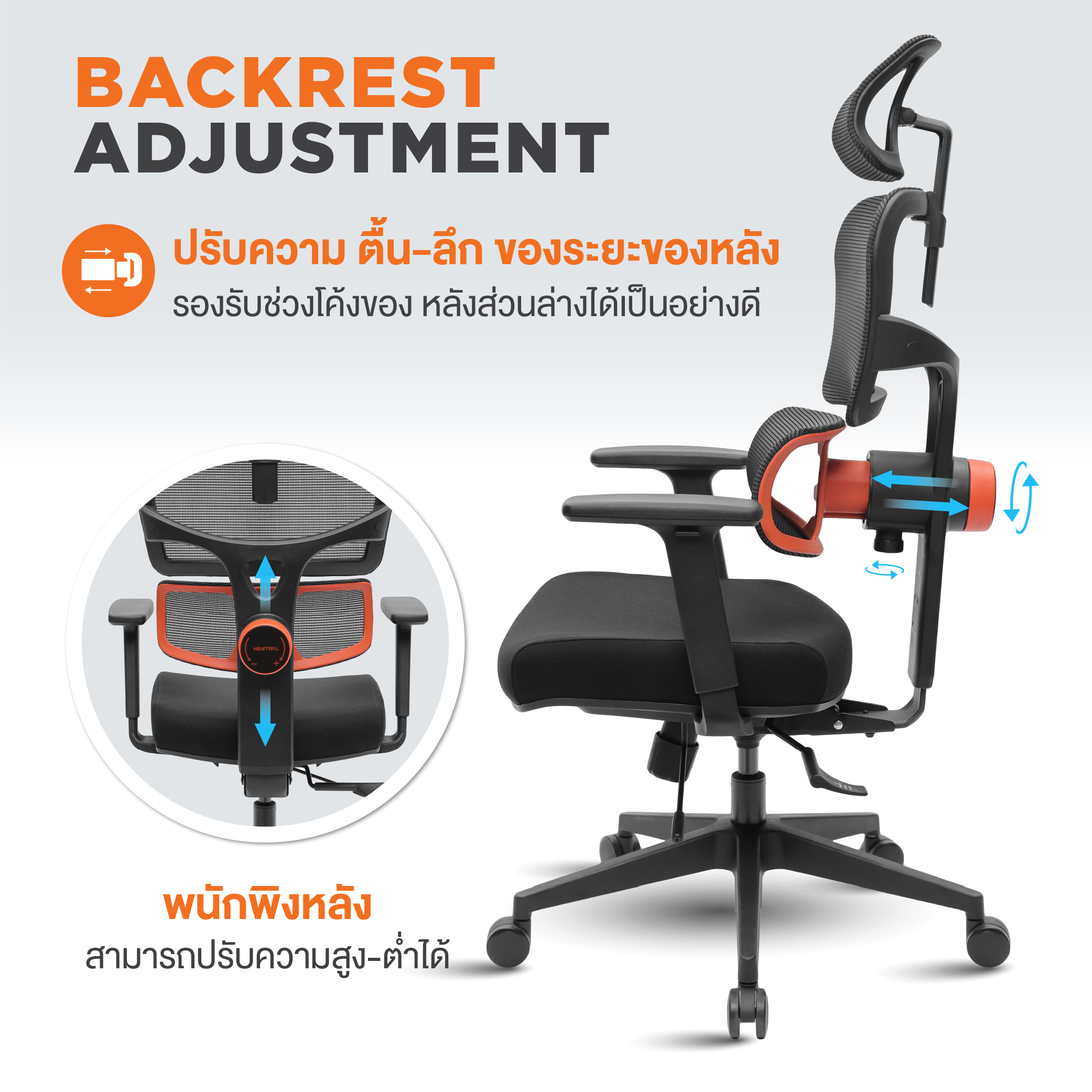 Ergotrend เก้าอี้เพื่อสุขภาพเออร์โกเทรน รุ่น HESSE สีดำ | Shopee Thailand