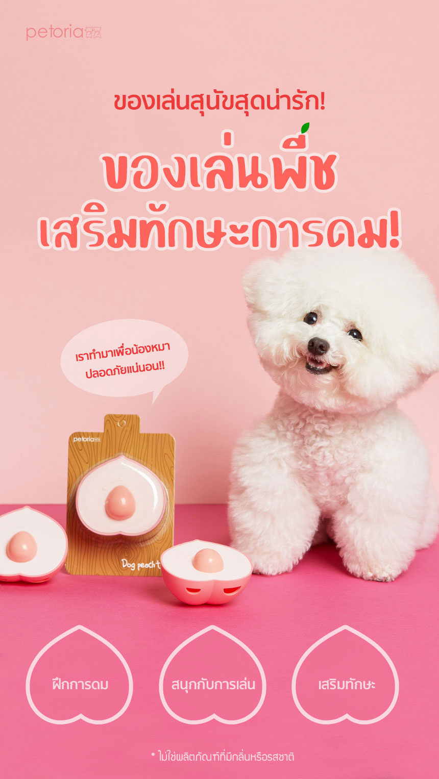 Petoria (เพ็ทโทเรีย) ของเล่นสุนัขลูกพีช ช่วยฝึกทักษะการดมกลิ่น จาก ...