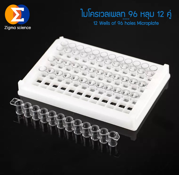 Zigma science - Detachable ELISA Plate, ไมโครเพลท, ไมโครเวลเพลท, ไมโคร ...