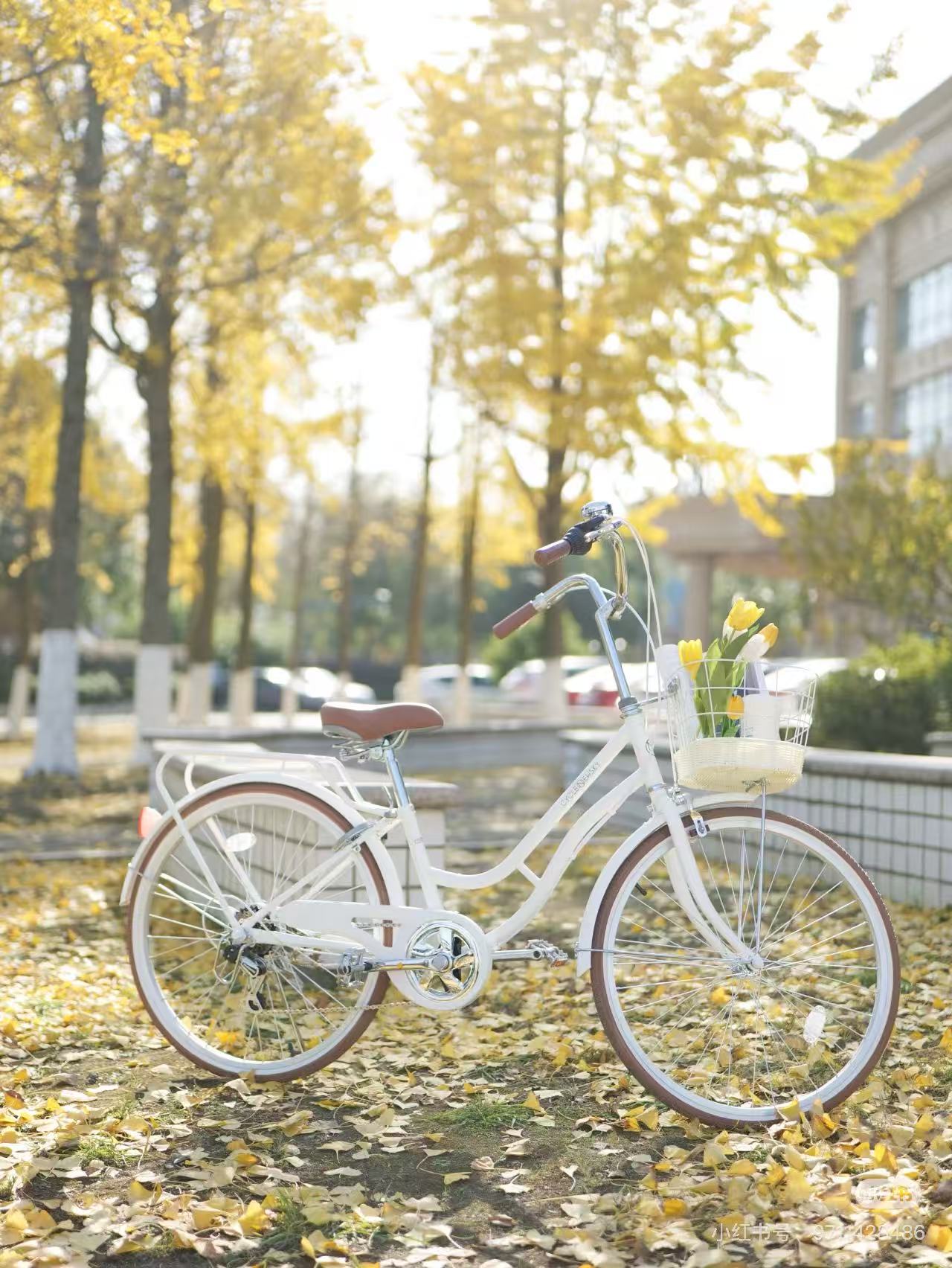 Anchi จักรยานแม่บ้าน จักรยาน 24/26 นิ้ว 7ระดับ สไตล์ญี่ปุ่น วงล้อ วงล้ออลูมีเนียม จักรยานผู้ใหญ่ ...