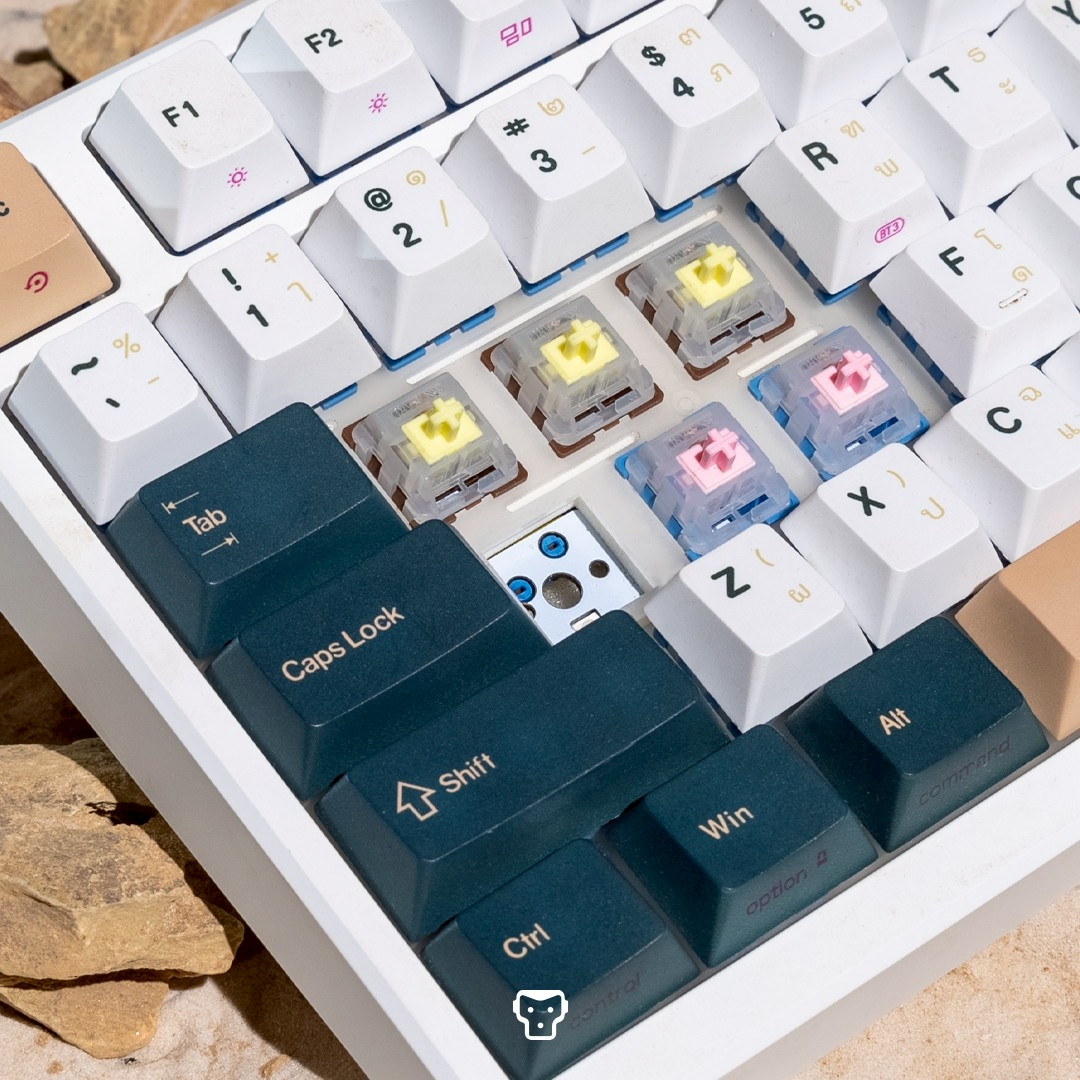 [รับประกันสินค้า 1 ปี] SARU คีย์บอร์ดเกมมิ่ง COLOR TFT KX-81 Jupiter จอ ...