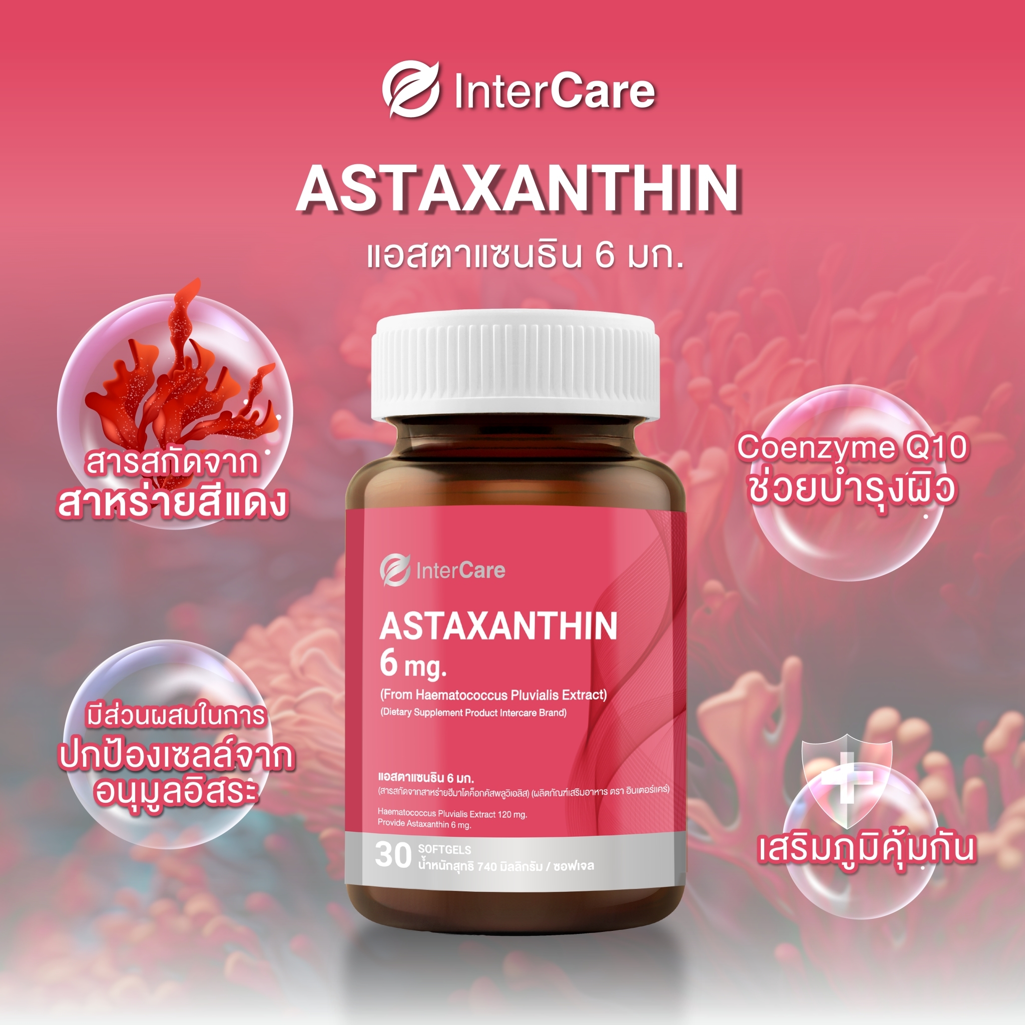 InterCare Astaxanthin 6 mg + CoQ10 Sesame oil coconut oil 30 ซอฟเจล | Shopee Thailand