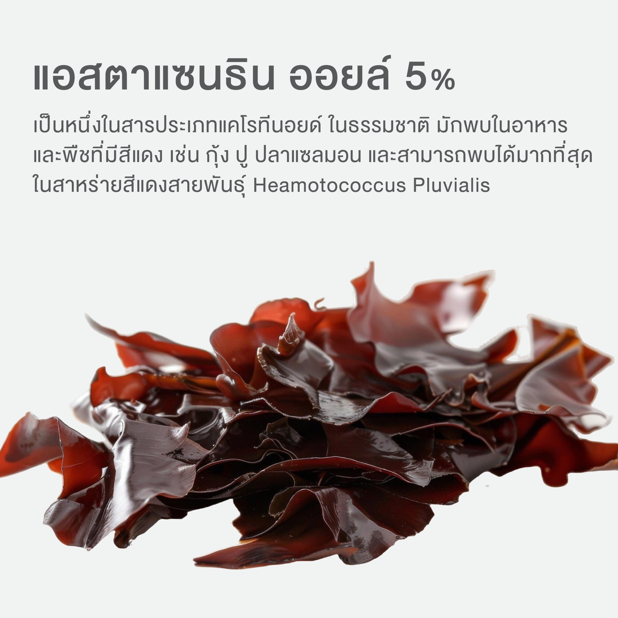 InterCare Astaxanthin 6 mg + CoQ10 Sesame oil coconut oil 30 ซอฟเจล | Shopee Thailand