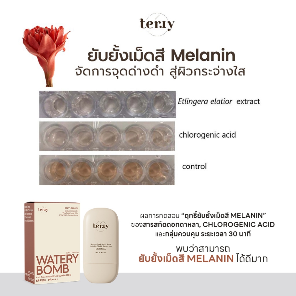 (กันแดดแพ็กคู่) Terry Watery Bomb Anti-Acne Hybrid-Fluid ลดสิว ปกป้อง ...