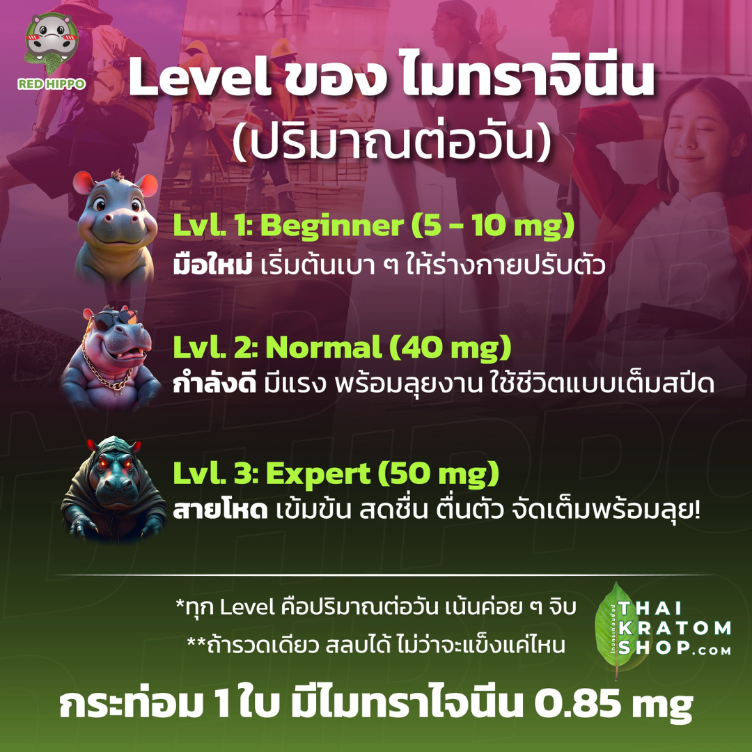 Red Hippo Lite Tab : สมุนไพรใบ..สกัดชนิดเม็ด (1 แผง มี 4 เม็ด) พกพา ...