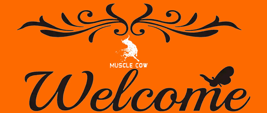 MUSCLE COW ดอกสว่าน โฮลซอเจาะเหล็ก อลูมิเนียม HSS ขนาด 12-55 mm Hole ...