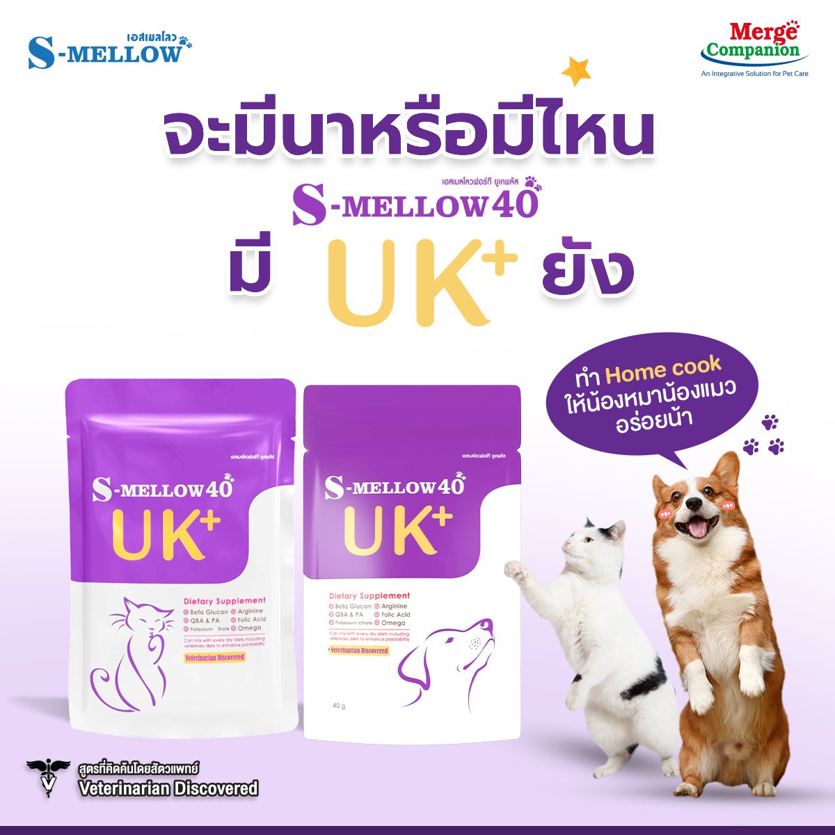 S-Mellow 40 UK CAT อาหารเสริมบำรุงร่างกาย เพิ่มความน่ากิน ขนาด 40g ...