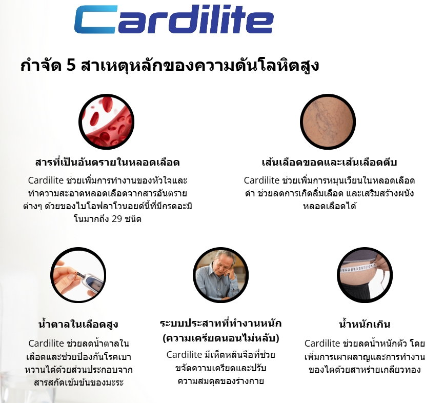 CARDILITE ผลิตภัณฑ์เสริมช่วยปรับสมดุล ไขมันความดันโลหิต 1 กล่อง 20 ...