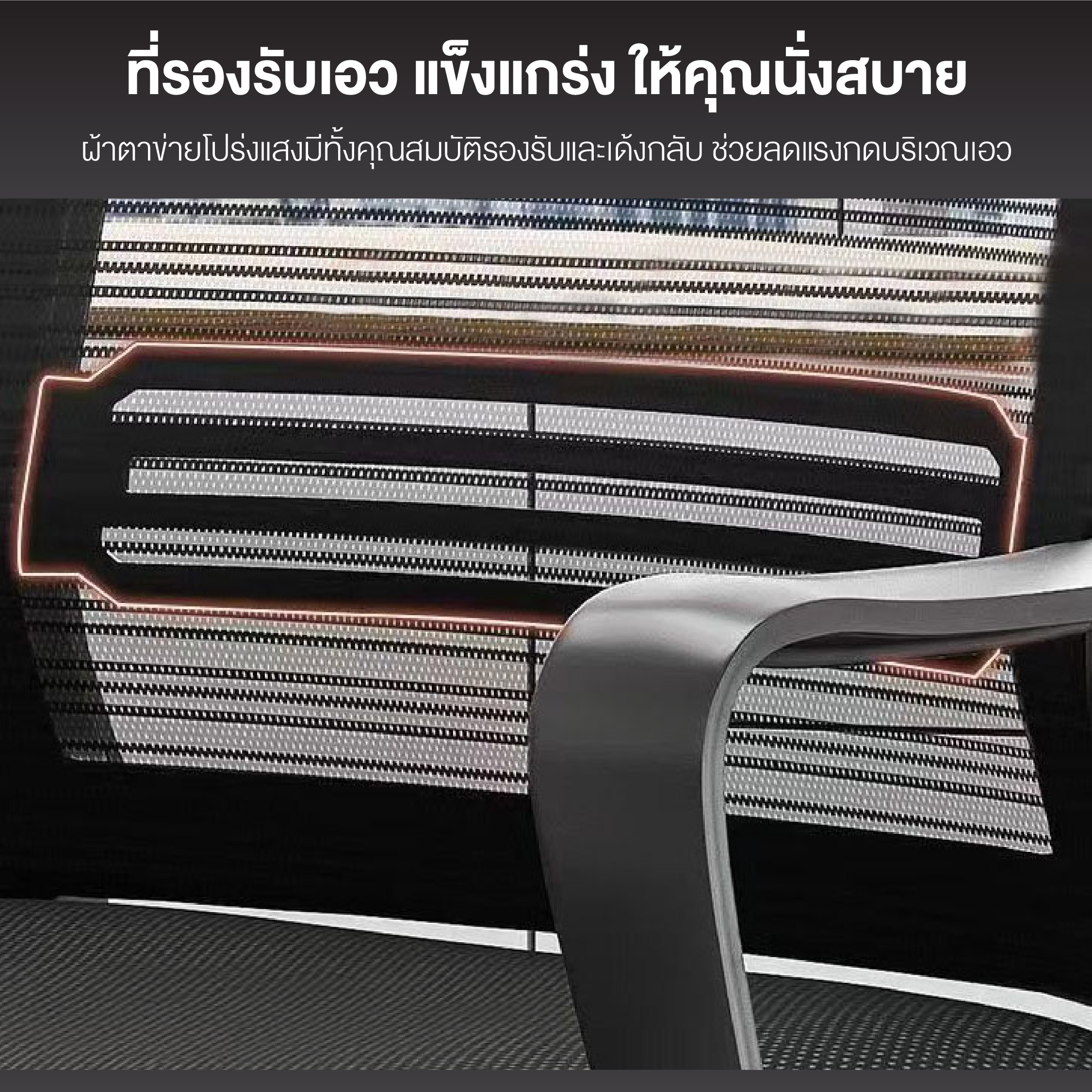 Elife เก้าอี้ทำงาน คุณภาพสูง เบาะหนา นั่งสบาย Office Chair สีดำ พนักพิง ...