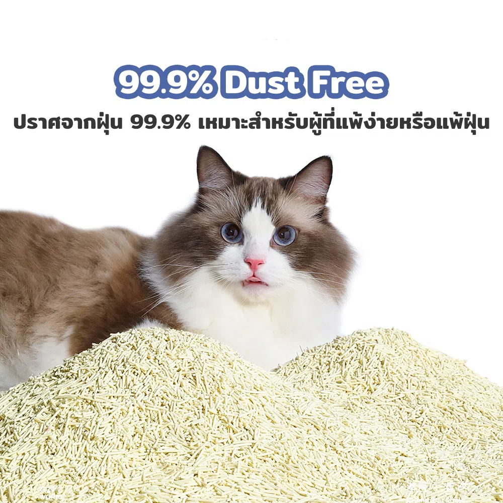 PetStern ทรายแมวเต้าหู้ ออร์แกนิค100% Cat Litter 10L ผลิตจากกากถั่วเหลืองธรรมชาติ จับตัวเป็นก้อน ...