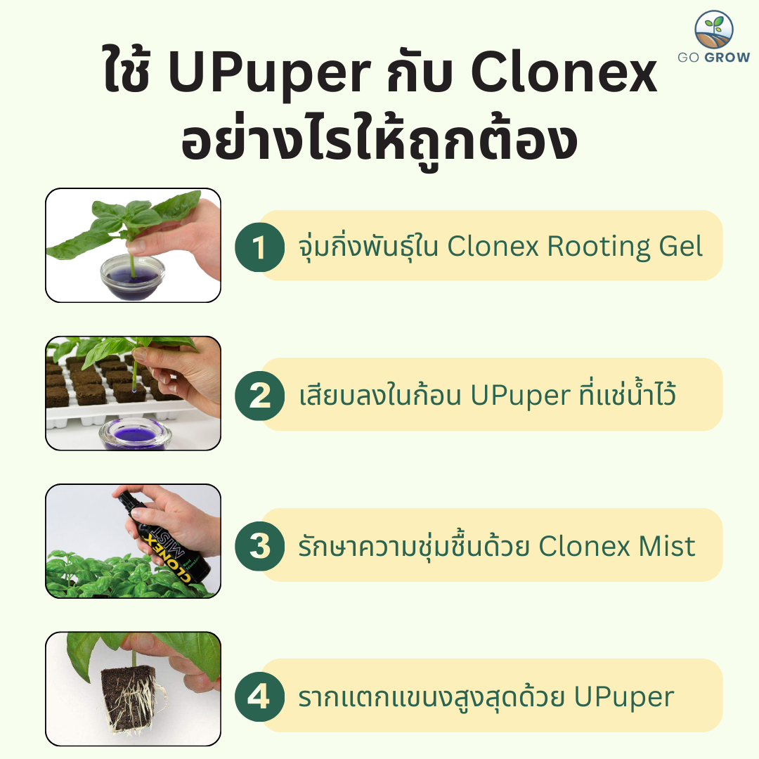 [ขวดแท้] Clonex Rooting Purple Gel 1L เจลเร่งรากคุณภาพสูง สำหรับปักชำ ...