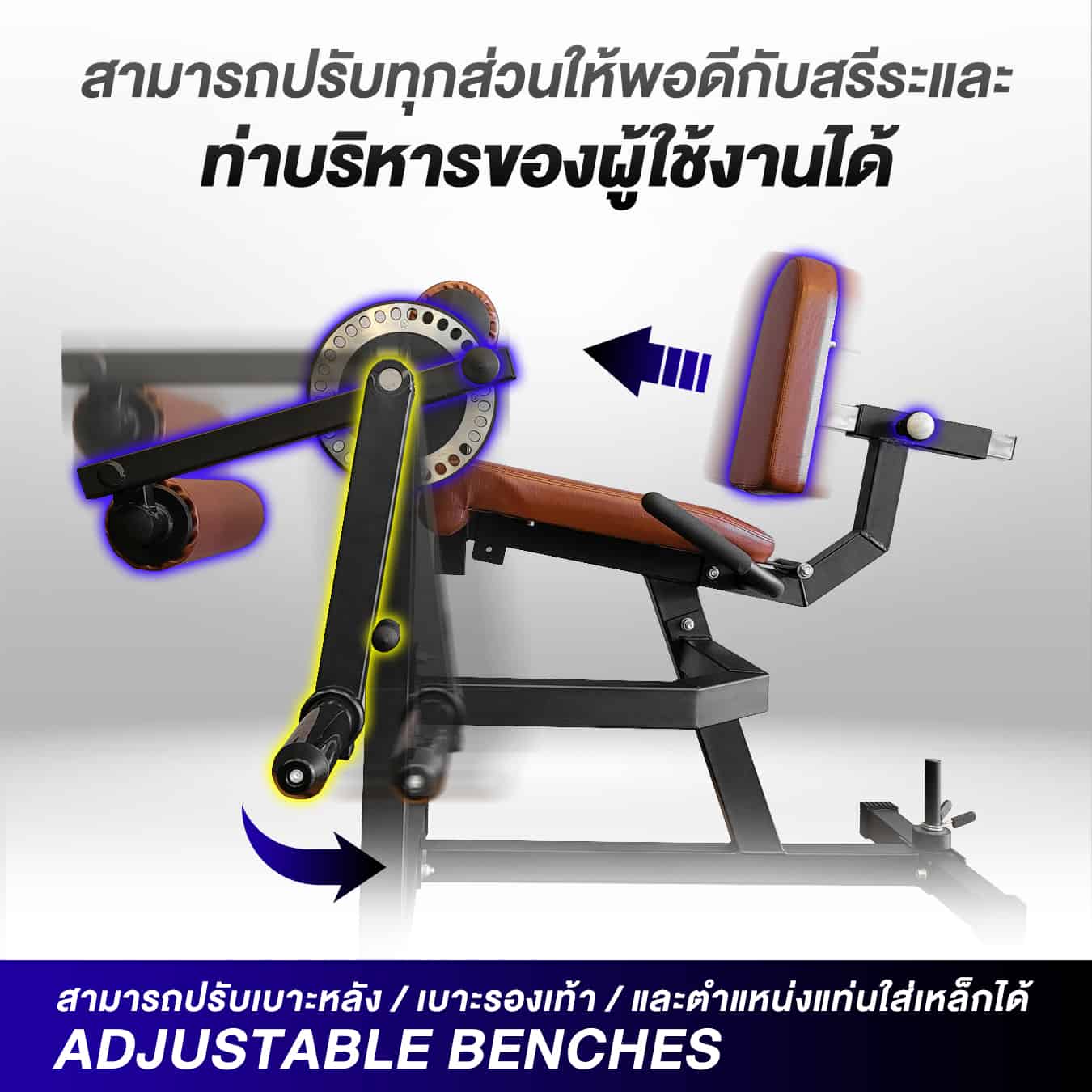 SPORT SYNOLOGY เครื่อง Dual Function Leg Curl/Leg Extension รุ่น D200 ...