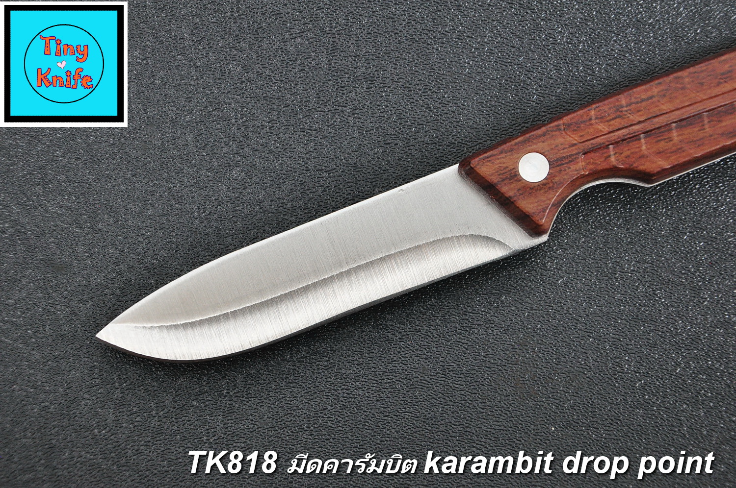 TK818 มีดคารัมบิต karambit drop point มีดคารัมบิตใบตายคมเดียว มีดทำครัว ...