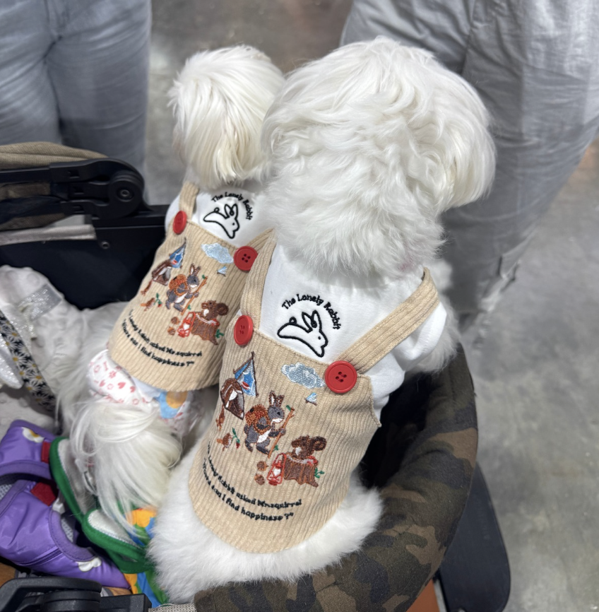 The Lonely Rabbit First Adventure ชุดเอี๊ยมสำหรับน้องหมา ชุดหมา ชุดแมว ...