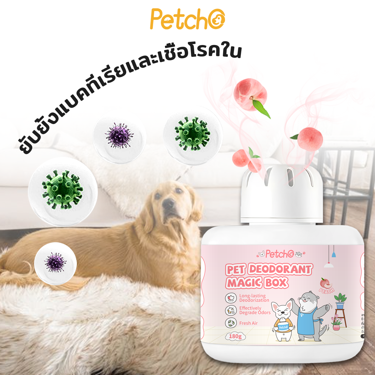 Petcho เพ็ท ดีโอโดแรนท์ เมจิก บ็อกซ์ กำจัดกลิ่นที่ต้นตอ อากาศสดชื่น ...