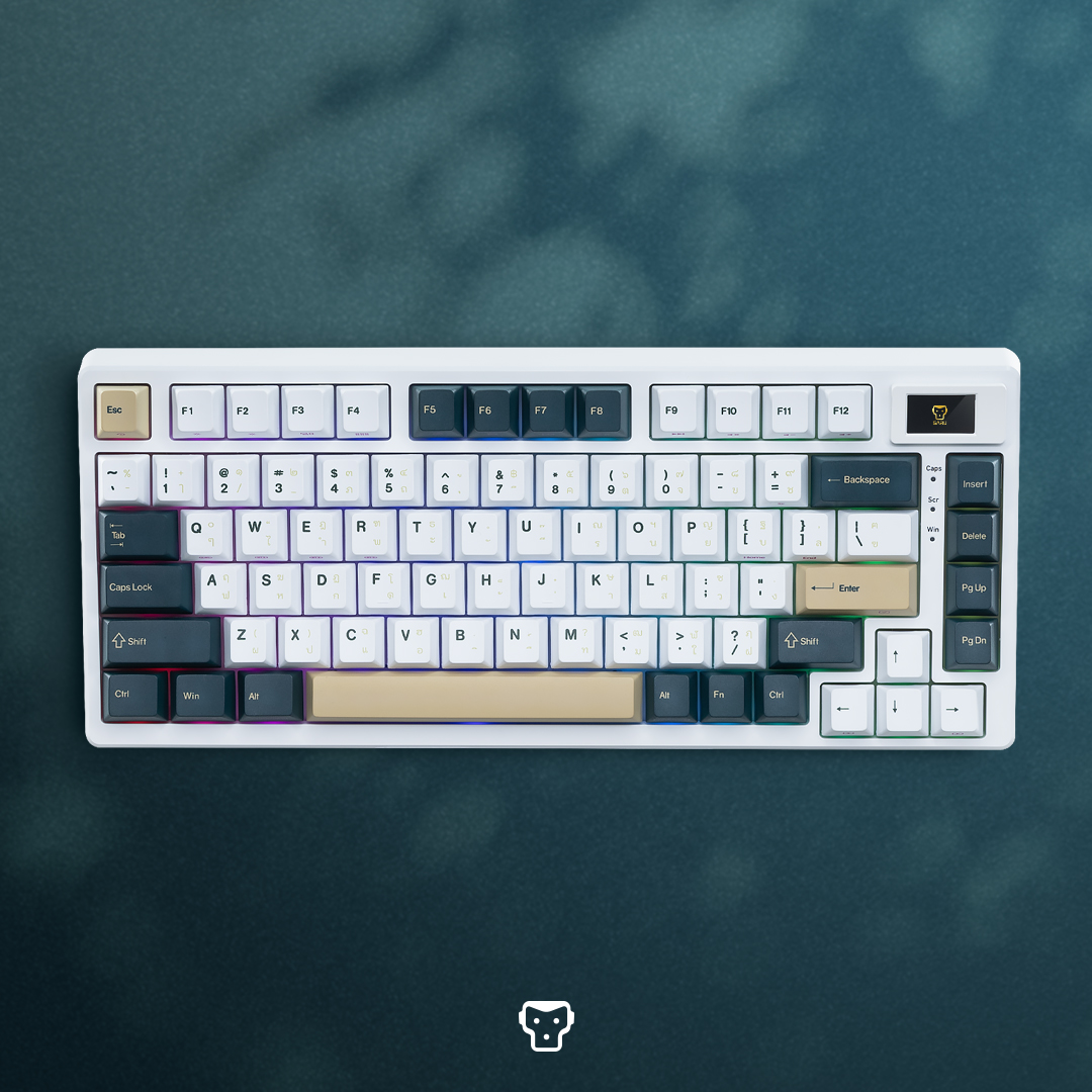 [ประกัน 1 ปี] Saru คีย์บอร์ดเกมมิ่ง Color Tft Kx 81 Jupiter จอ Led