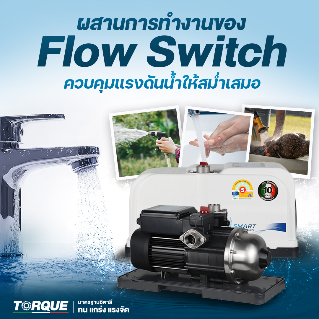 🔥ส่งด่วน ประกันศูนย์🔥 (มีบริการติดตั้งโดยคิวช่าง) ปั๊มน้ำออโต้ TORQUE ...