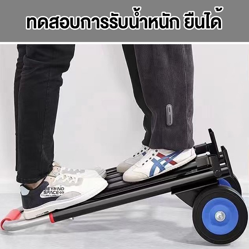 FBS รถเข็น รถเข็นของ รถเข็นอเนกประสงค์ พับได้ 2ล้อ ทนทาน พกพาสะดวก รับ ...
