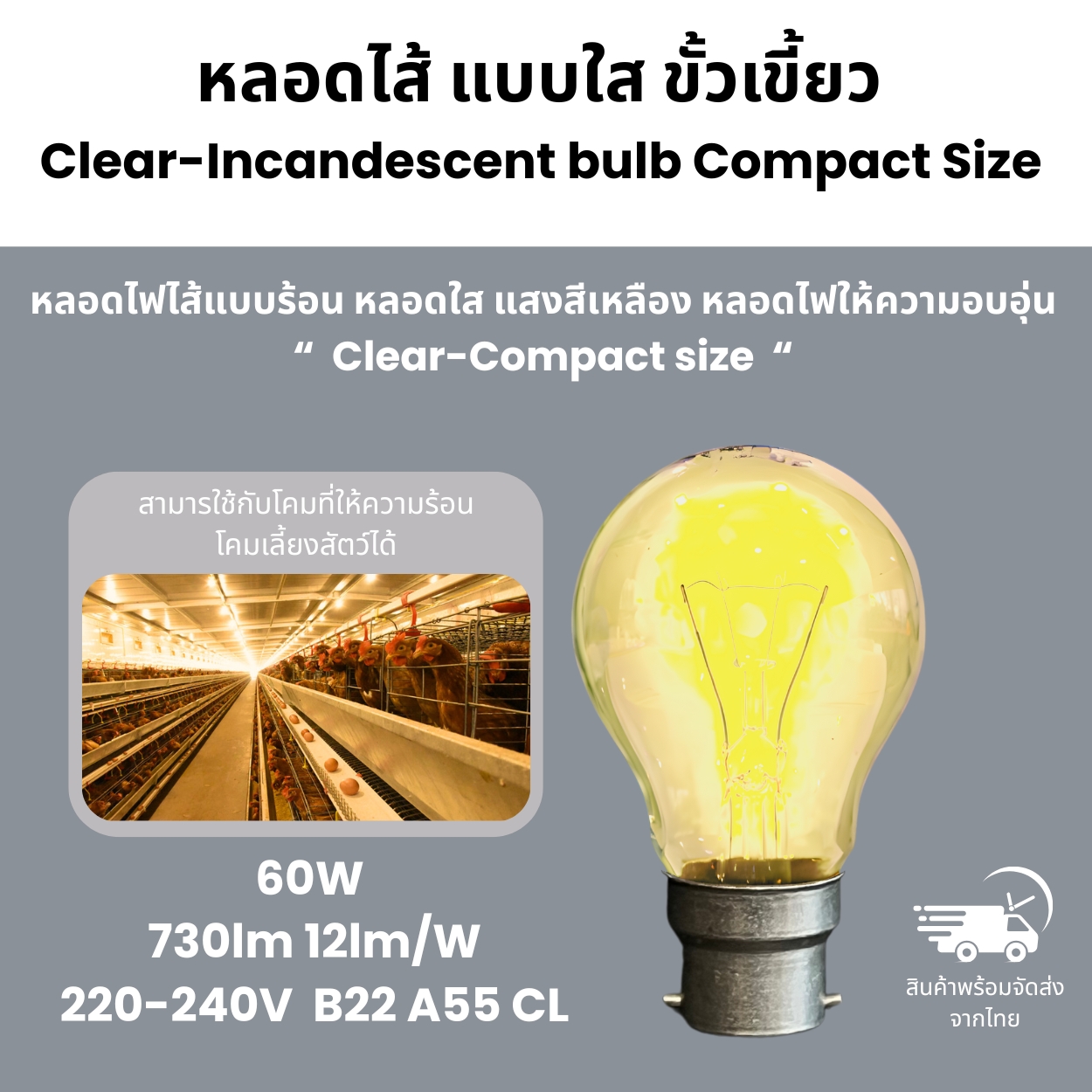 PHILIPS หลอดไฟไส้แบบร้อน หลอดใส 60W 220-240V ขั้วเขี้ยว B22 A55 (สี Warm) Incandescent bulb ...
