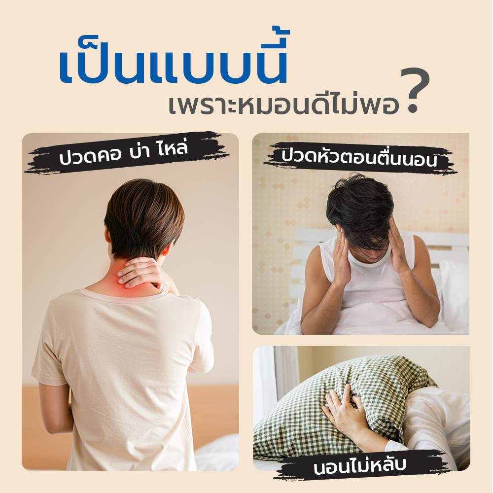 ibed หมอนหนุนโรงแรม Sof-touch รุ่น I - Soft สัมผัสนุ่มแบบ 3D ป้องกันไรฝุ่น ซักเครื่องได้ หลับ ...