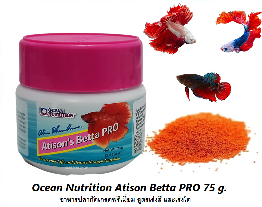Ocean Nutrition Atison Betta PRO 75 g.(อาหารปลากัดเกรดพรีเมี่ยมสูตรเร่ง ...