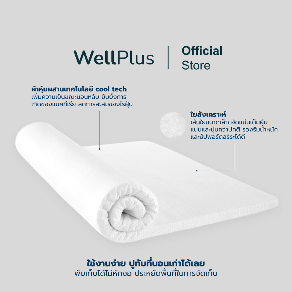 Wellplus รุ่น Believe หนา 2.5 นิ้ว ที่นอนท็อปเปอร์เพื่อสุขภาพ ช่วยลดความร้อน เพิ่มความเย็นขณะนอน ...
