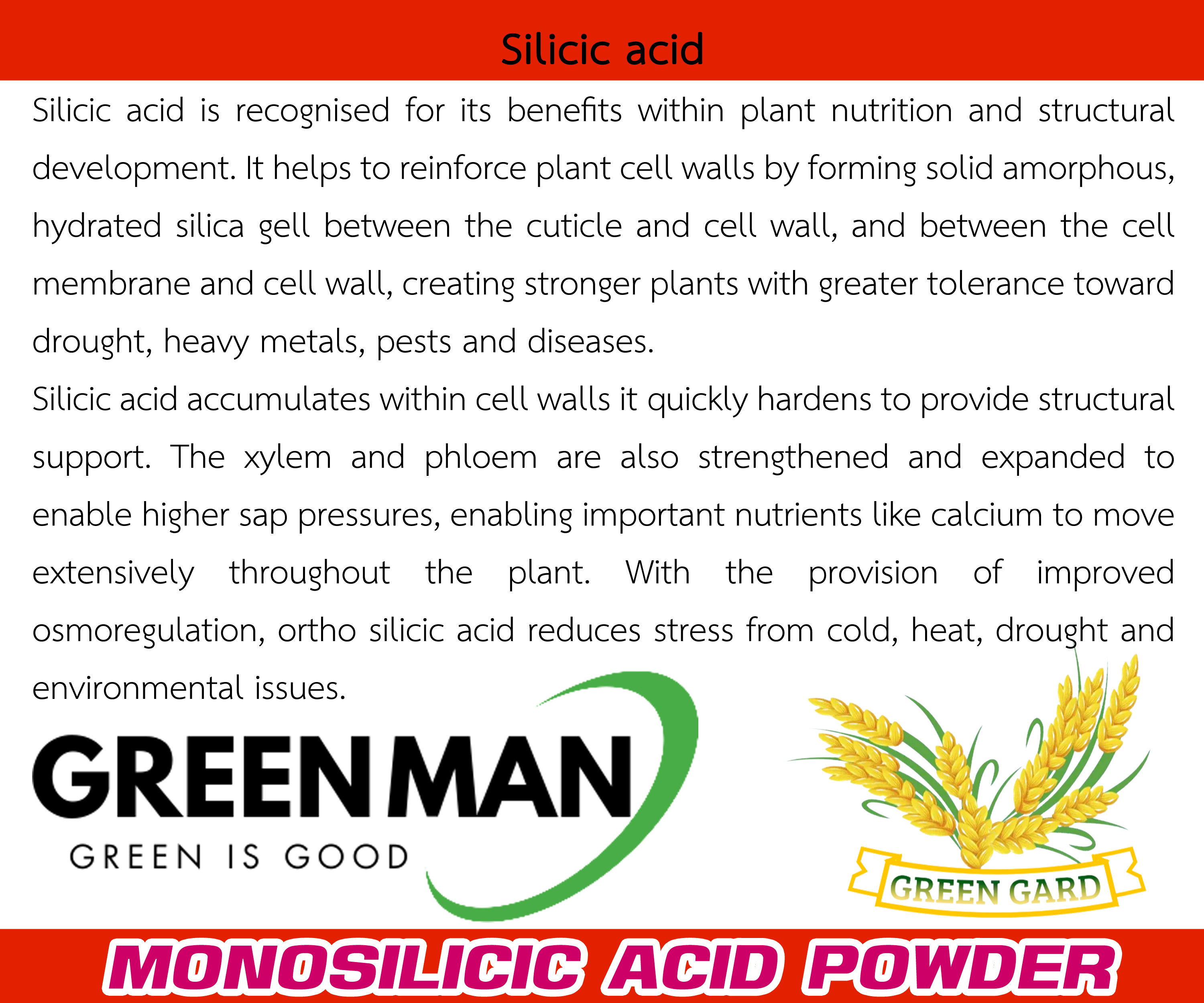 MONO SILICIC ACID POWDER (MSA) H4SiO4 ซิลิซิคแอซิด ชนิดผง ขนาด 50 กร้ม ...