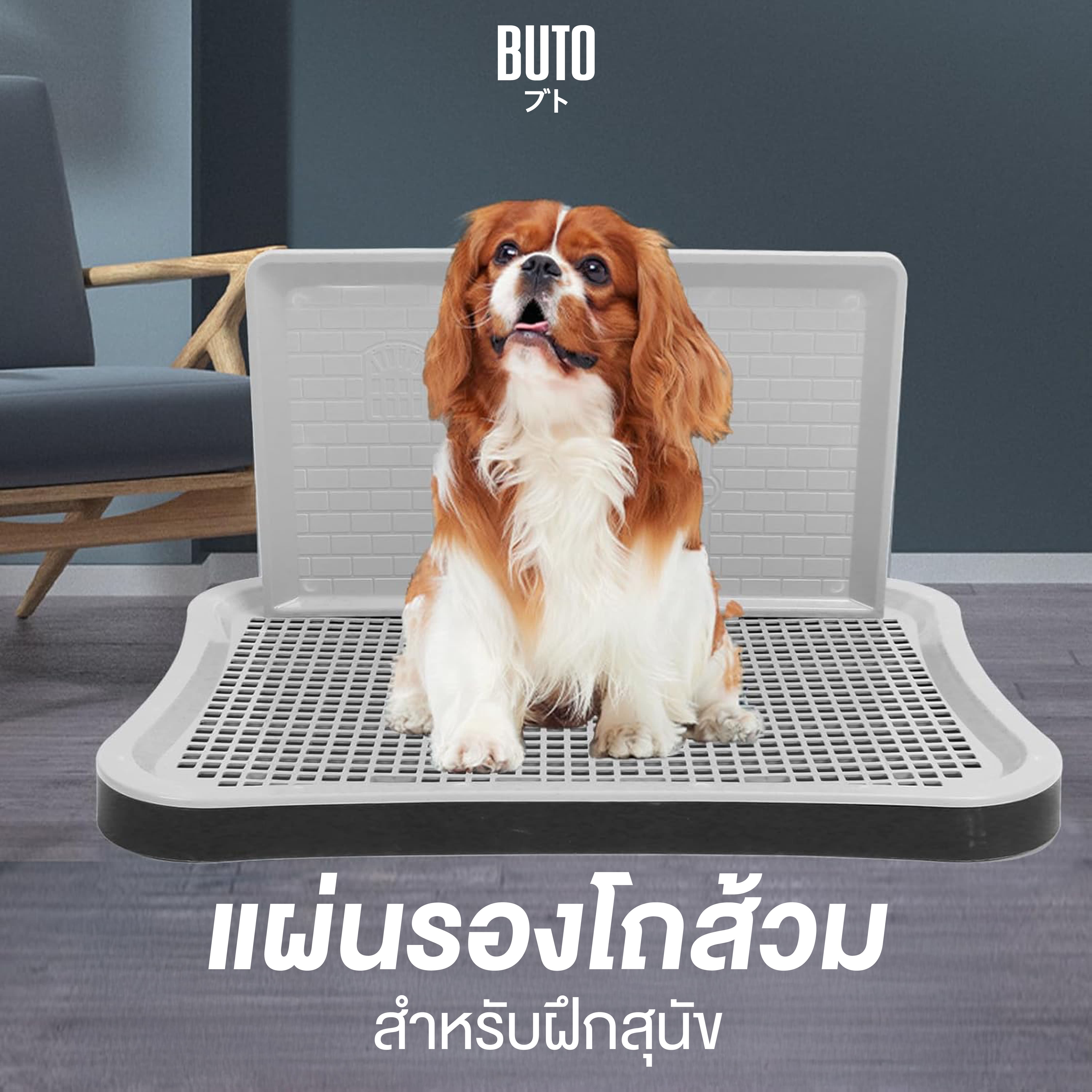 แผ่นรองโถส้วมสำหรับฝึกสุนัข Toilet Training Pads for Dogs BUTO | Shopee ...