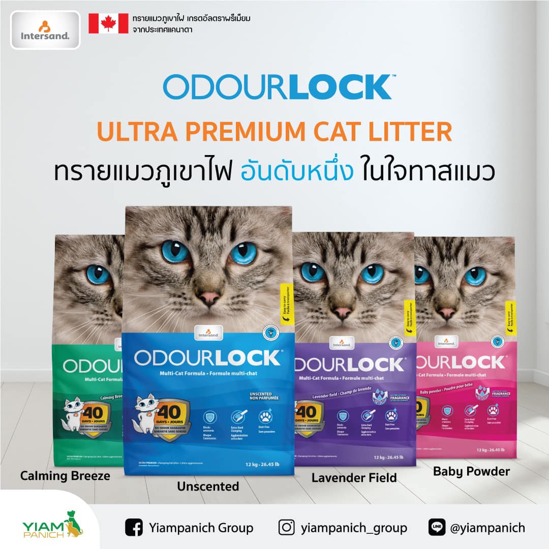 [12kg] ODOURLOCK โอโดล็อก ทรายแมว หินภูเขาไฟ Ultra Premium Cat Litter ...