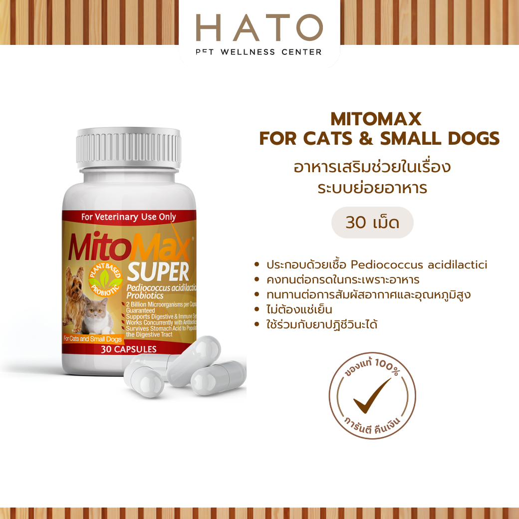 Mitomax Super For Small Dog & Cat อาหารเสริมสุนัขพันธุ์เล็ก-แมว ช่วยใน ...
