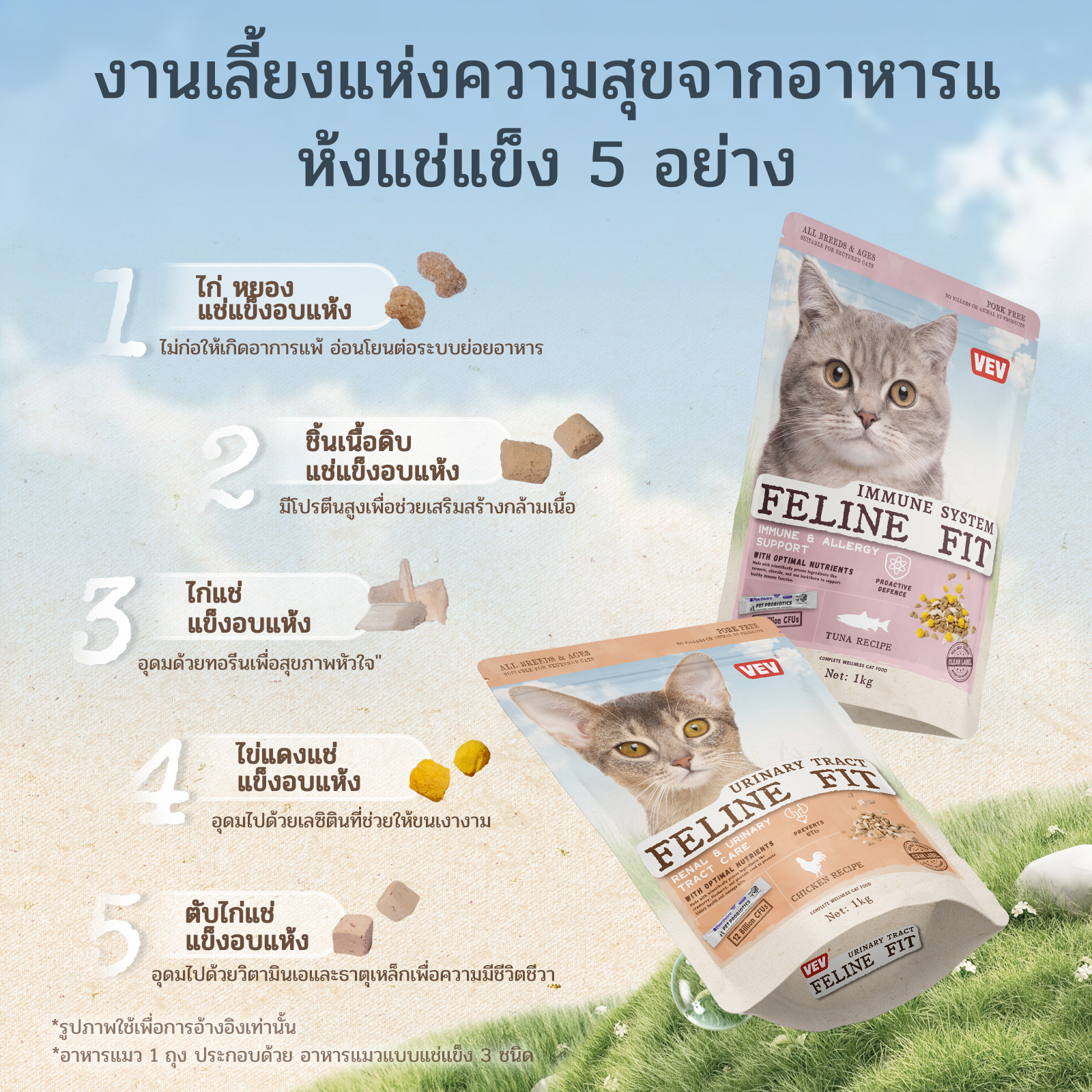 【🎁โปรไบโอติกฟรี】VEV 🐈 อาหารแมวบัซซ์ แบ่งขาย 1 kg. Premium Cat Food ...