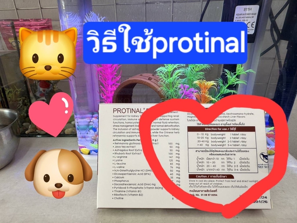 ถูกที่สุด🔥!! protinalวิตามินบำรุงไต สำหรับสุนัขและแมว โปรตินัล แทบเล็ท ...