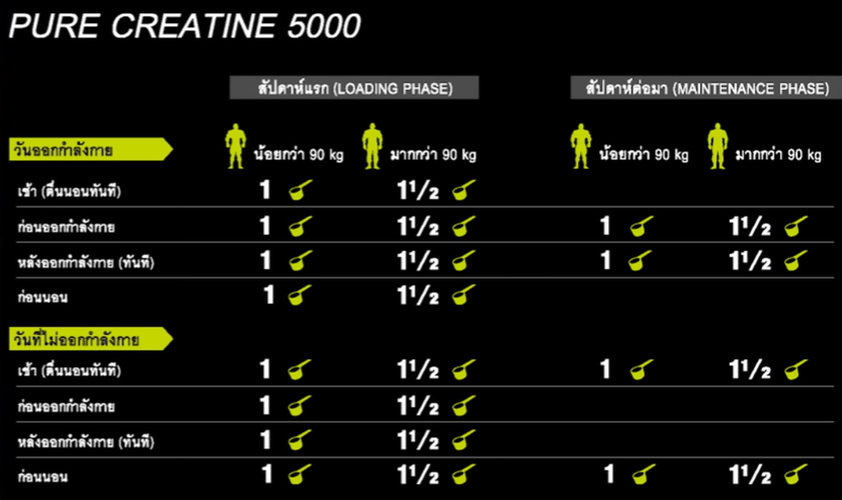 เพิ่มแรง เพิ่มกล้ามเนื้อ ครีเอทีน 100% CREATINE 5000 (ซอง) 300g/ 500g c5000 กินกับโปรตีน ดีม๊ากก ...