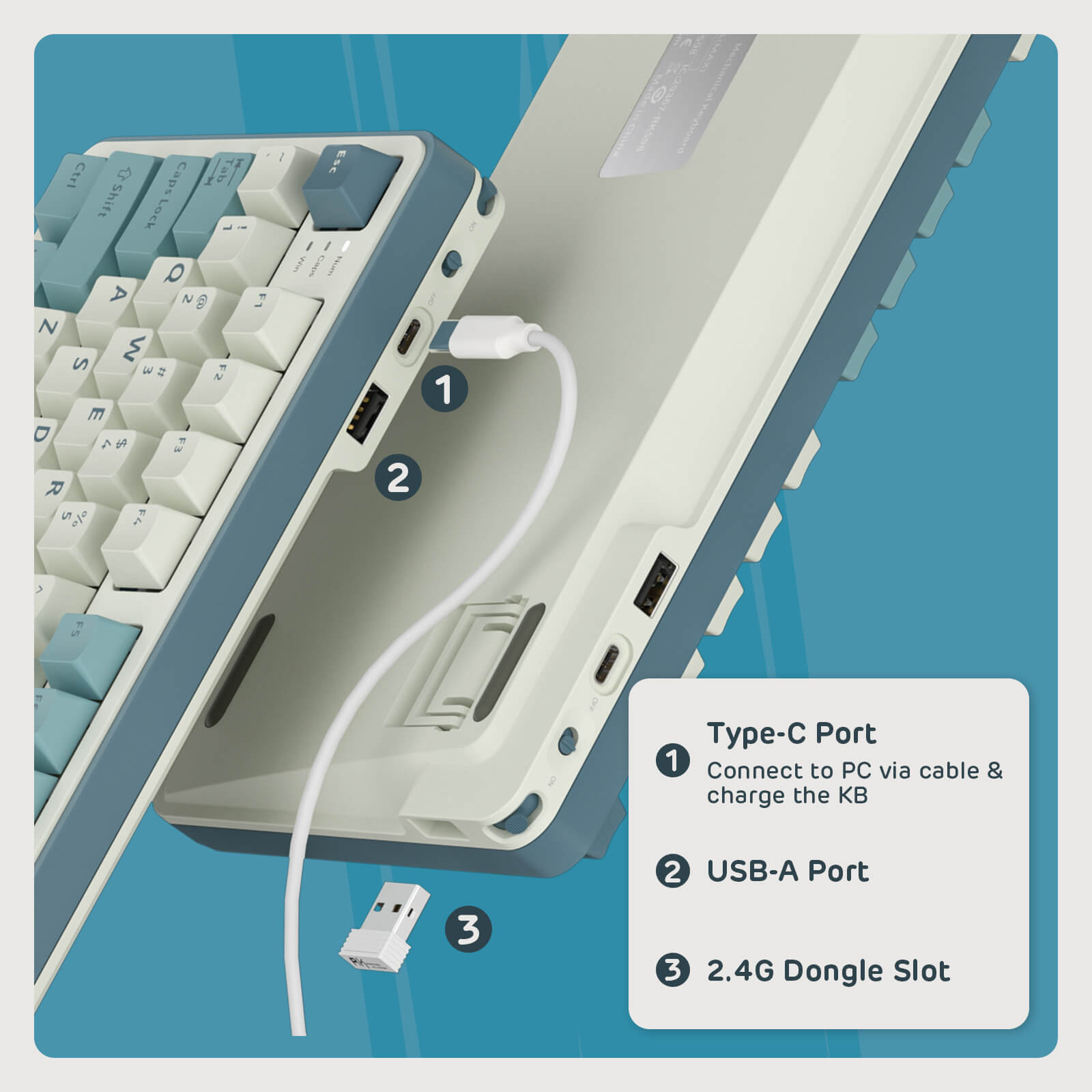 ของแท้ประกันศูนย์ไทยRoyal Kludge RK-S98 Tri-Mode RGB 98 Keys Hot ...