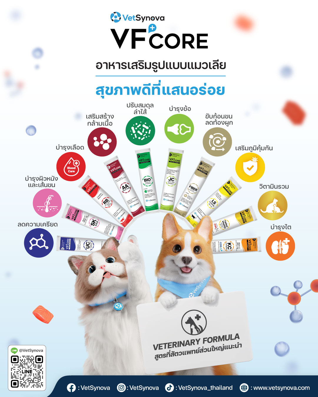 🔥แบ่งซอง VFcore VF core RB LS KC JC Lysine 1 ซอง แมวเลีย วีเอฟ พลัส คอร์ อาร์บี แอลเอส ทูน่า ...