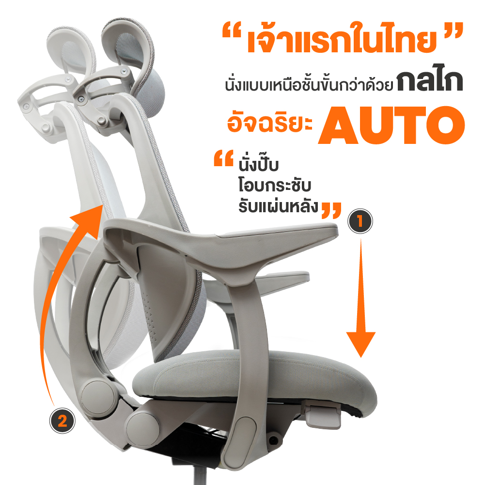 Ergotrend เก้าอี้เพื่อสุขภาพเออร์โกเทรน รุ่น Ergomatic plus | Shopee Thailand