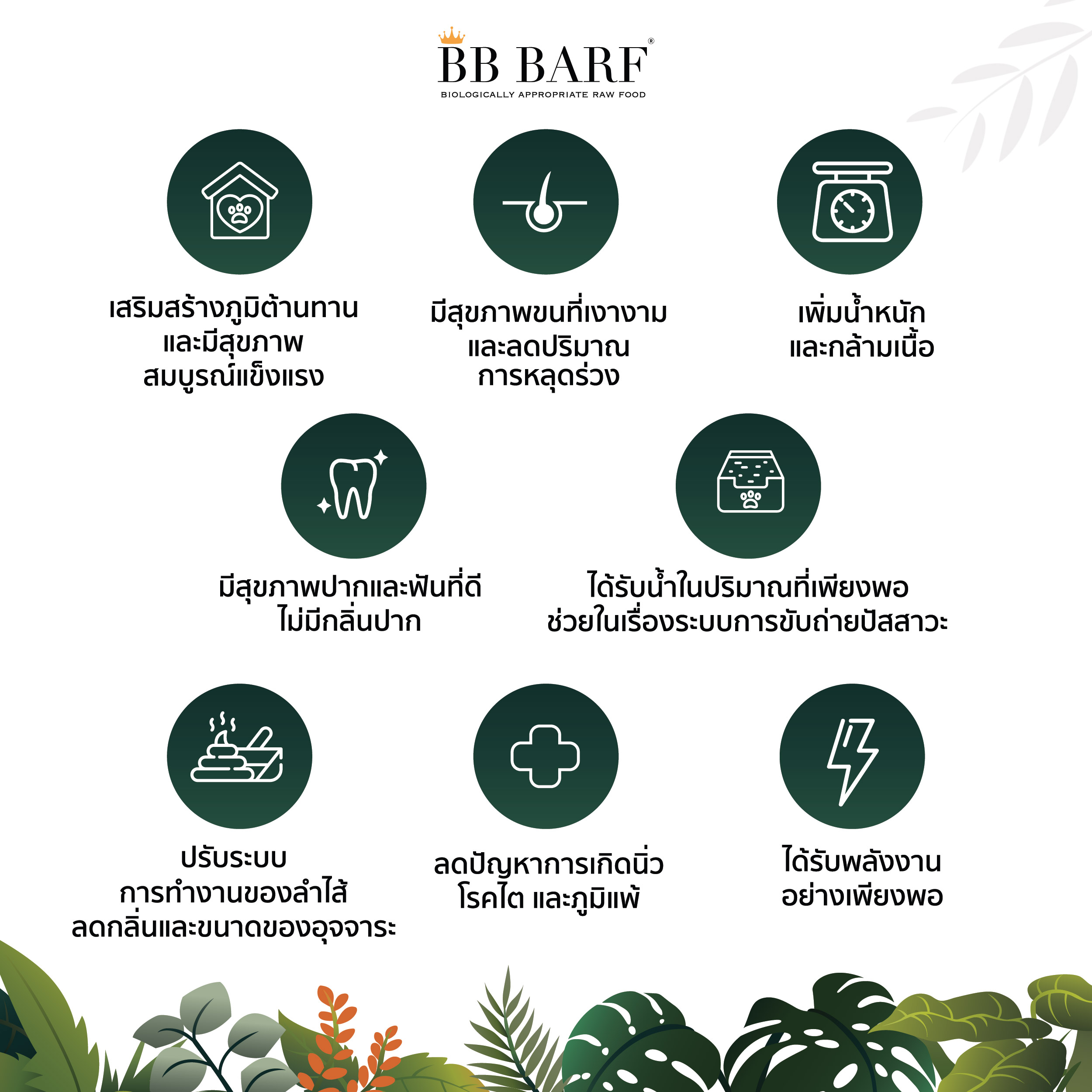 บาร์ฟแมว อาหารแมว บีบี บาร์ฟ BB BARF อาหารสดดิบแช่แข็ง สูตร ไก่ เป็ด ...