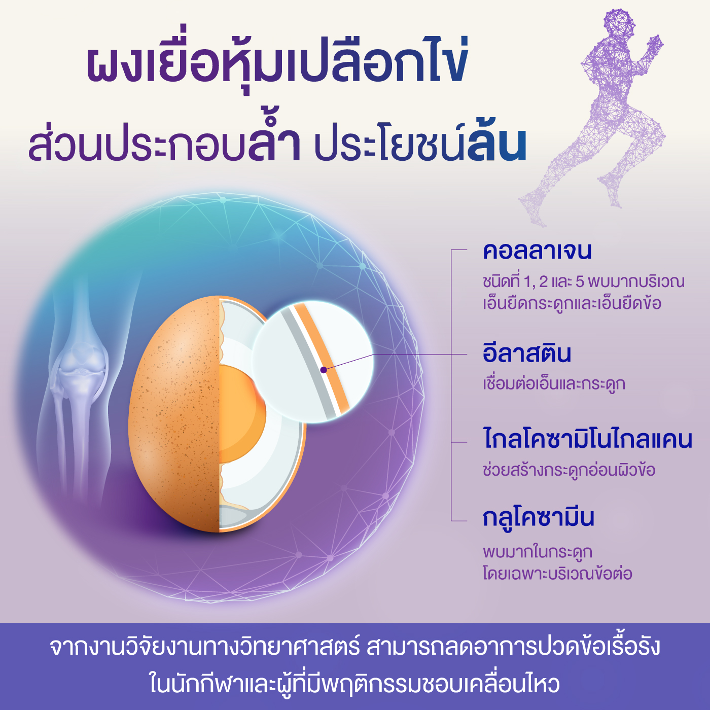 [VISTR เซ็ทกระดูก+ข้อ] COLLAGEN UC-II 40 MG (30Tabs)+BON-ACTIV EGG SHELL MEMBRANET(30Caps)+BON ...
