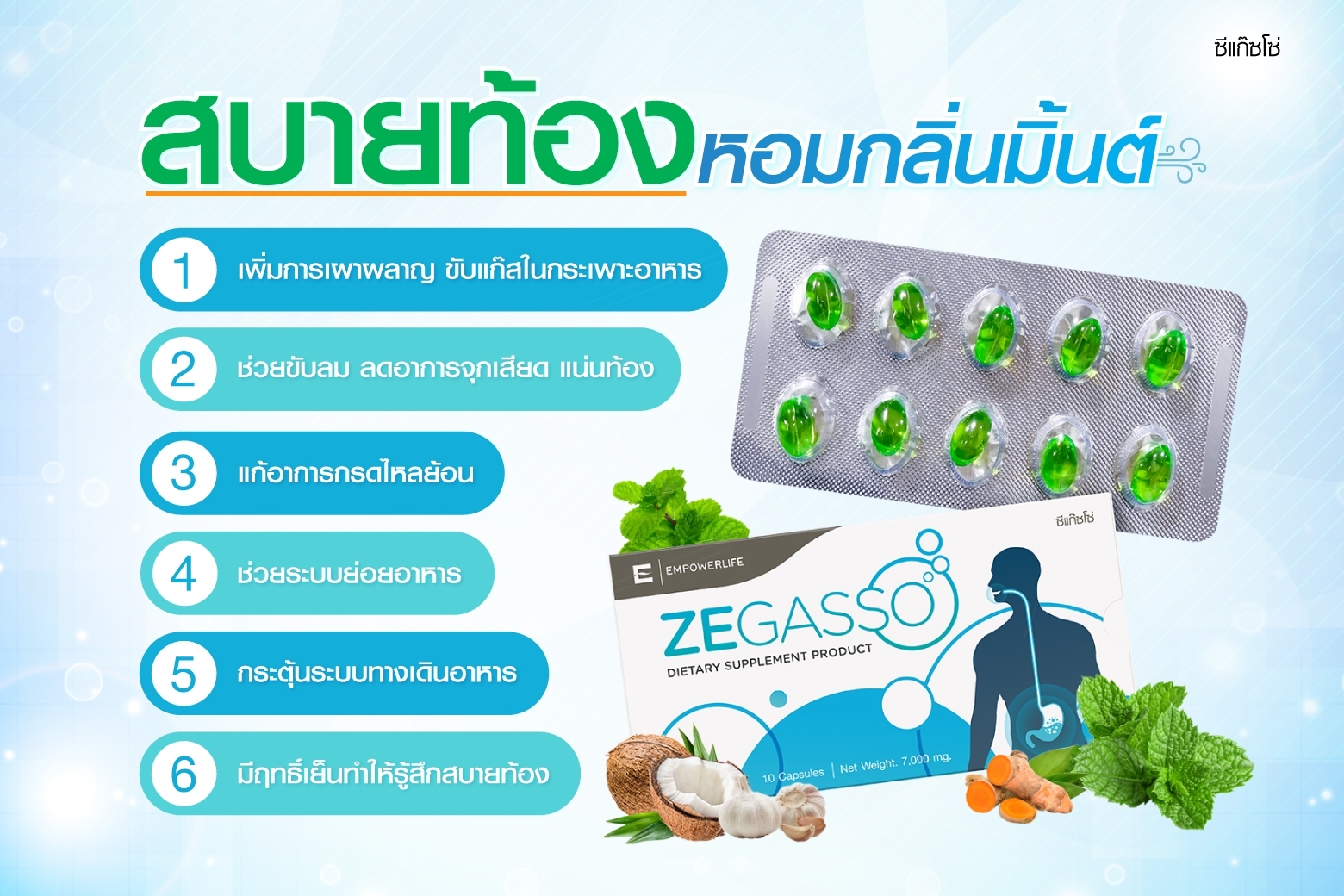 Ze-Gasso ( 3 แผง) ลดกรดไหลย้อน กรดไหลย้อน จุก ขับลม ช่วยย่อย แน่นท้อง ...